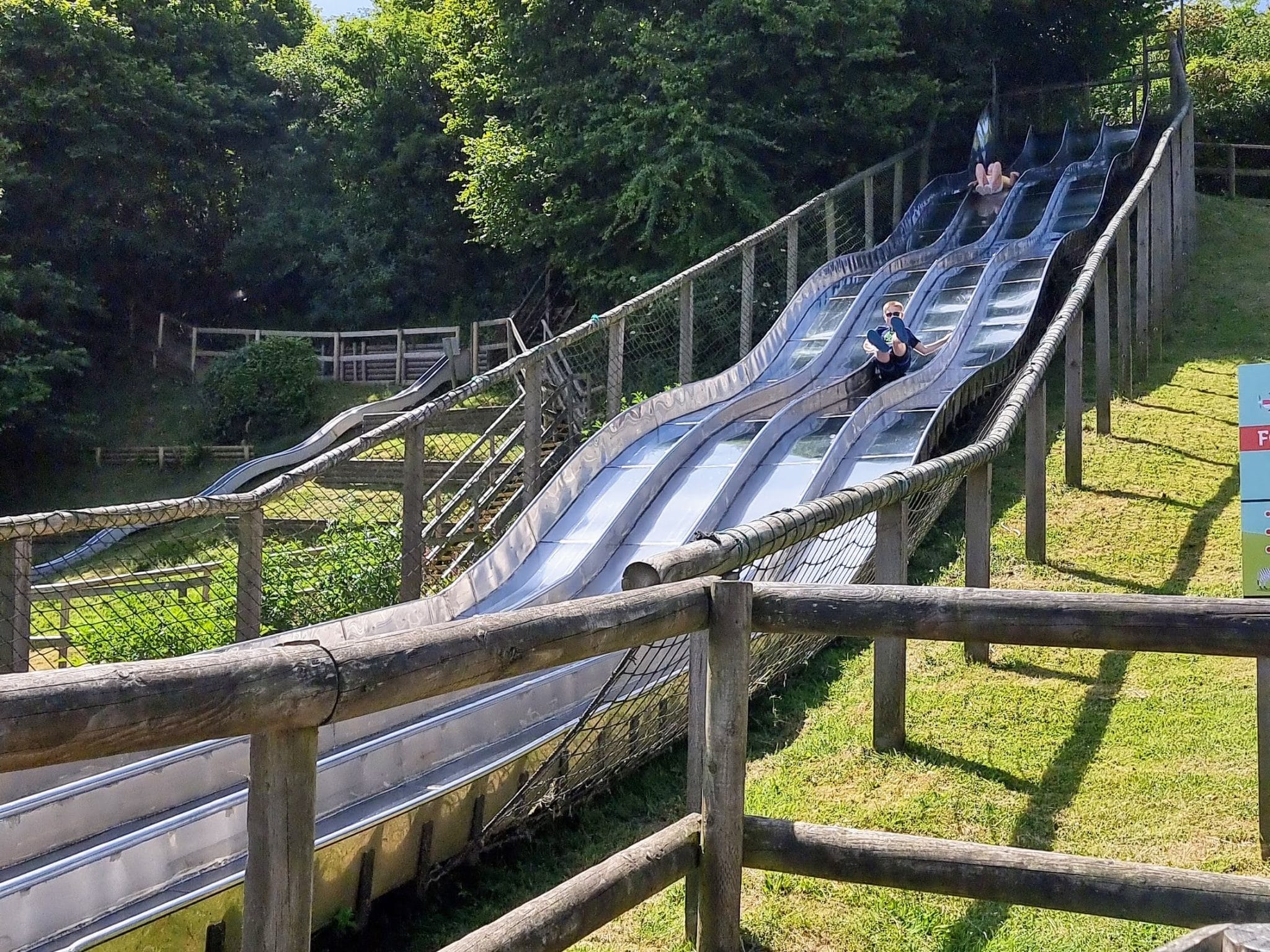 Isle of Wight with Kids: Robin Hill Country Park Review
