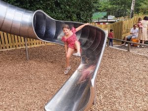 The Ultimate Guide to visiting Moors Valley Country Park with kids