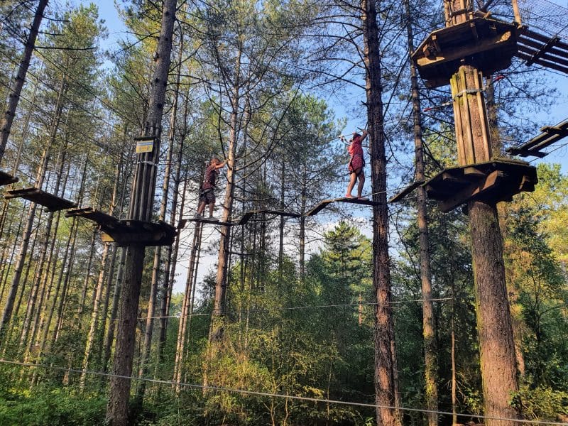 The Ultimate Guide to visiting Moors Valley Country Park with kids
