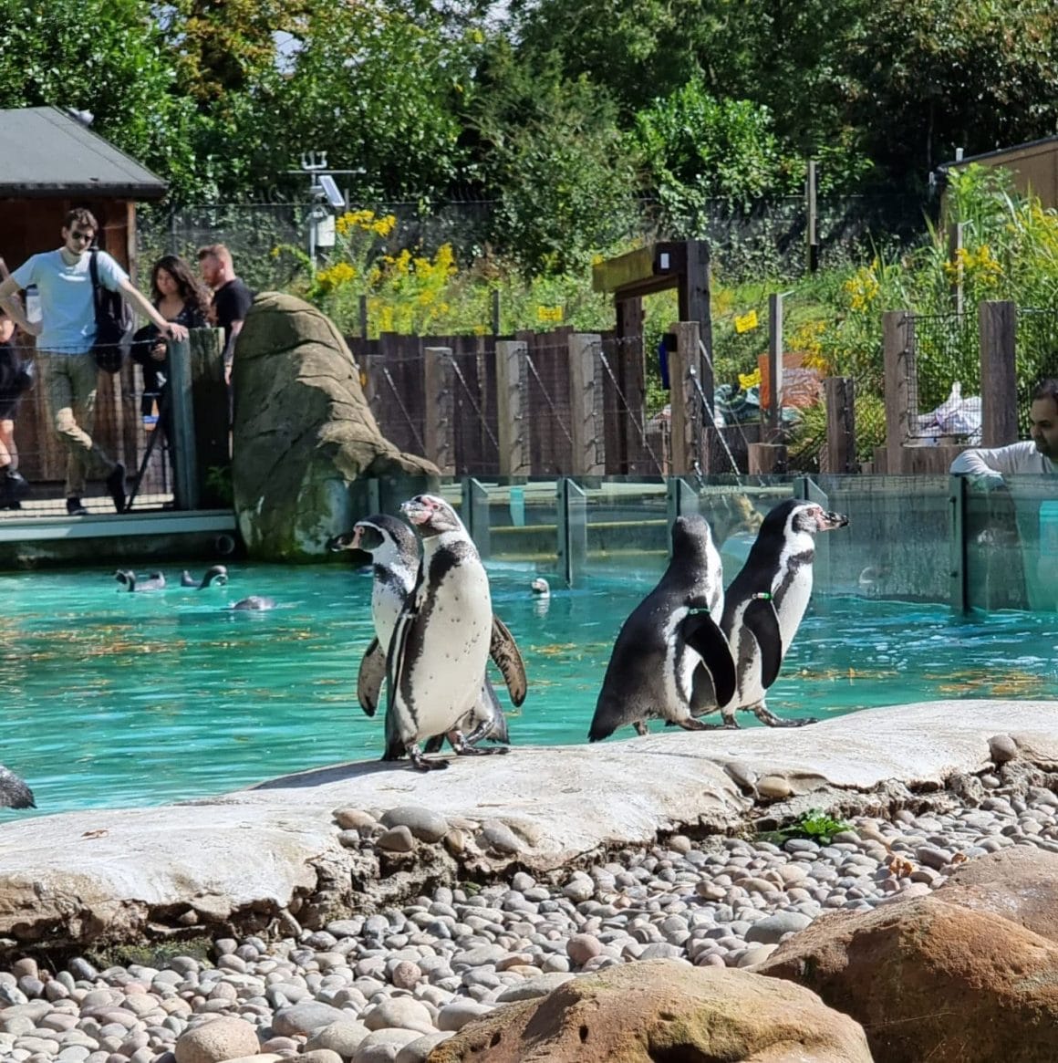 Day Out with the Kids: ZSL London Zoo Review
